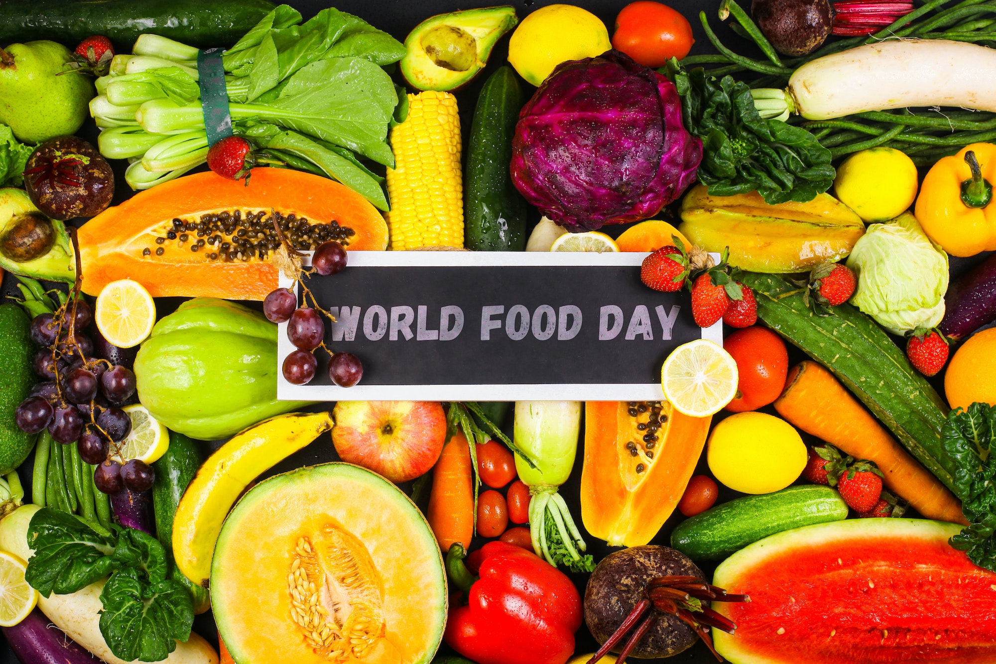 World Food Day – Stadium Shops